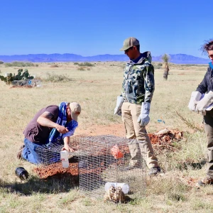 Regional and International Conservation Initiatives | Arizona Wildlife ...